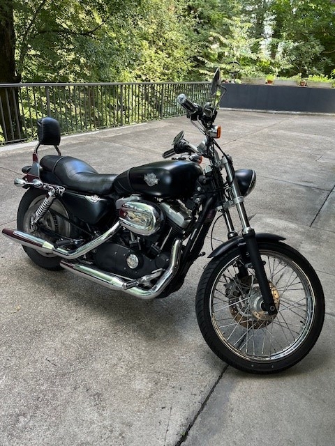 HARLEY-DAVIDSON XL 883 C Sportster Custom Kaufen