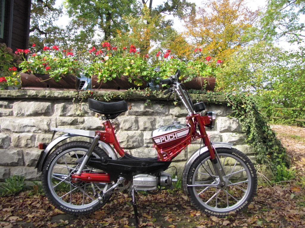 PUCH, Mofa - Occasionen kaufen | MotoScout24
